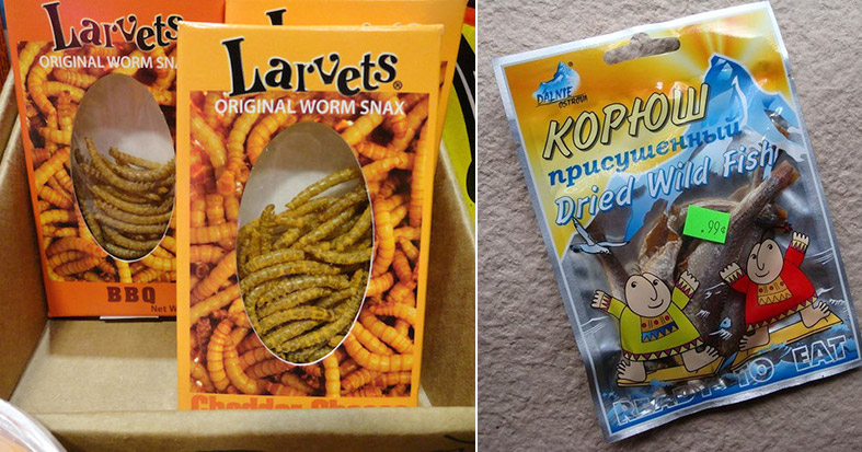 Some People Eat Really Strange Snacks. This is Ridiculous!